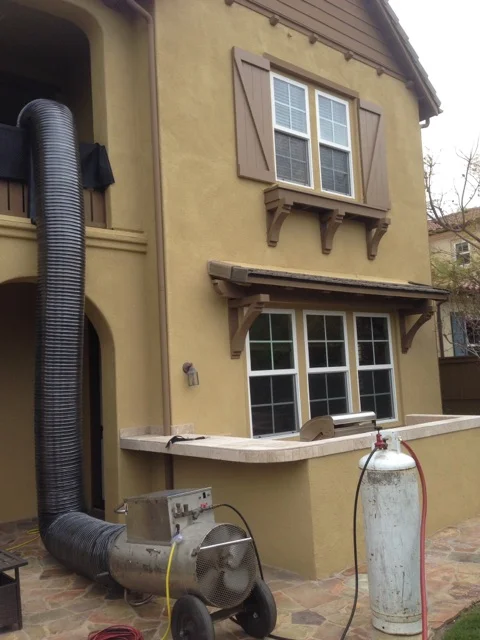 Termite Treatment and Control — Major League Pest Control Vista