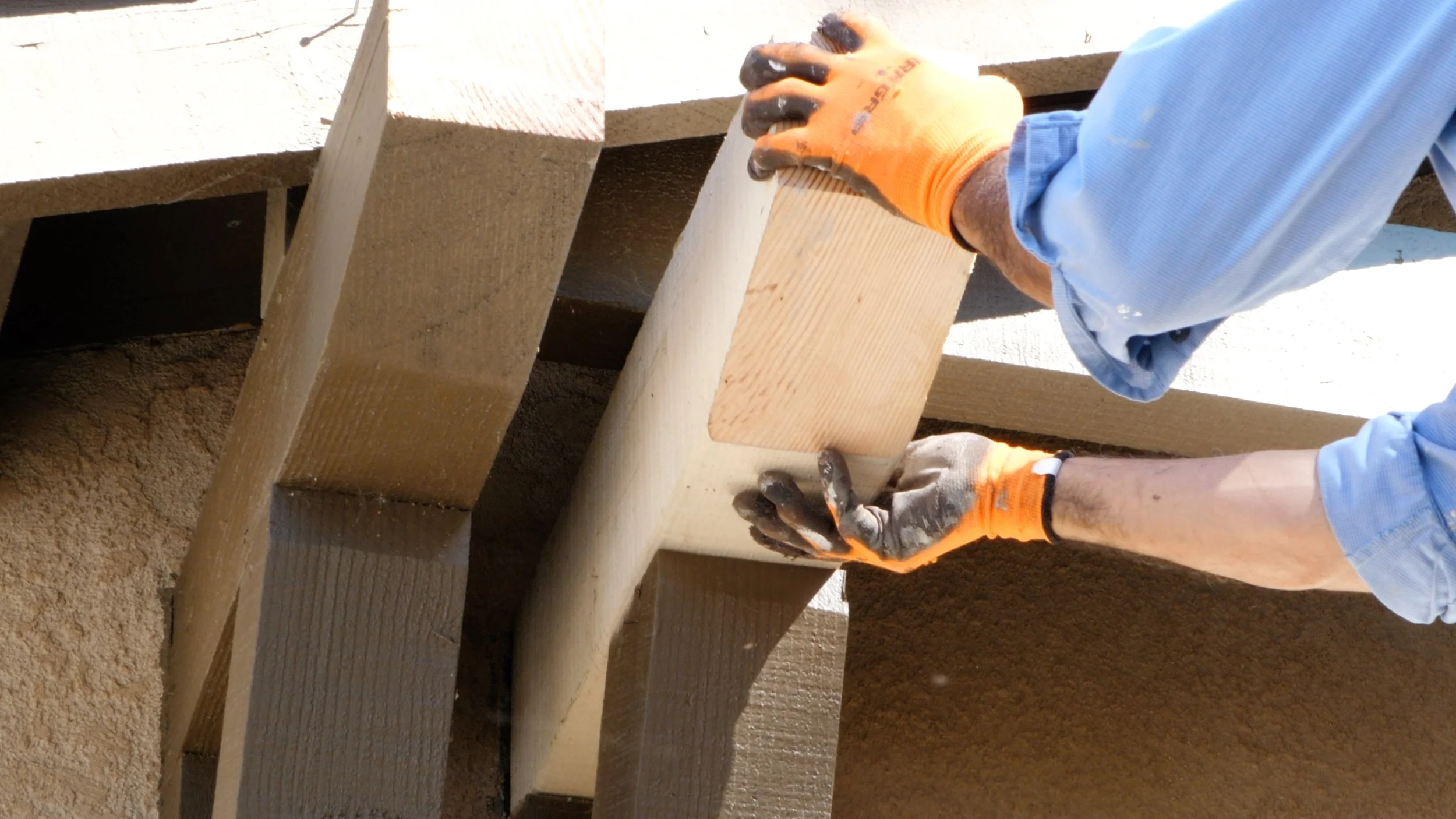 Termite Damage Repair — Major League Pest Control Vista