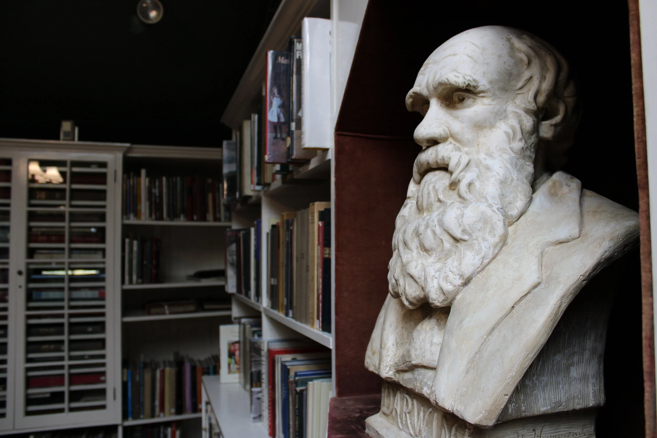 An Artful Perch Remade at the Providence Athenaeum — Michael Rose Fine Art