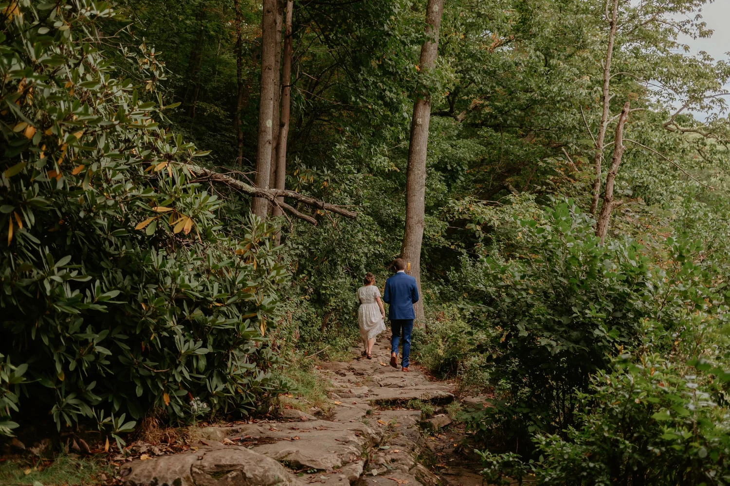 Investment — LIZ CAPUANO PHOTOGRAPHY