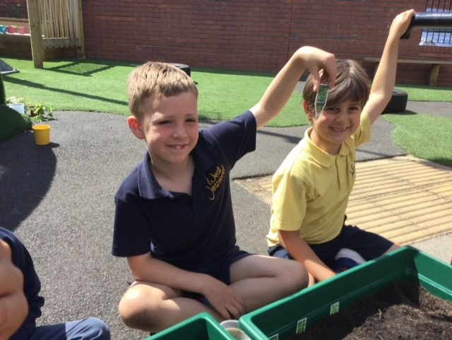 The Great Science Share for Schools