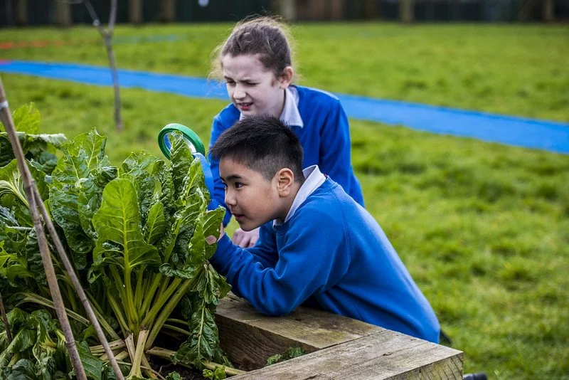 Great Science Poetry Share — The Great Science Share for Schools