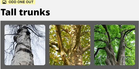 Explorify: Odd One Out — The Great Science Share for Schools