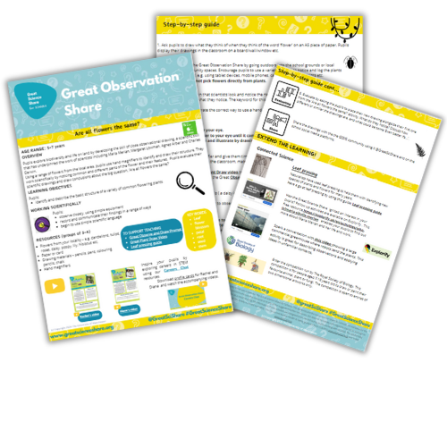 Great Observation Share — The Great Science Share for Schools