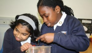 Odgen Trust: Phizzi Sound Circus — The Great Science Share for Schools
