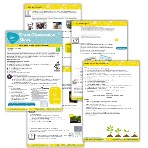 Great Observation Share — The Great Science Share for Schools