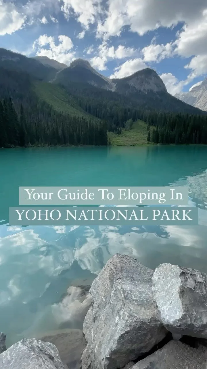 Contact — Megan Renee Photography