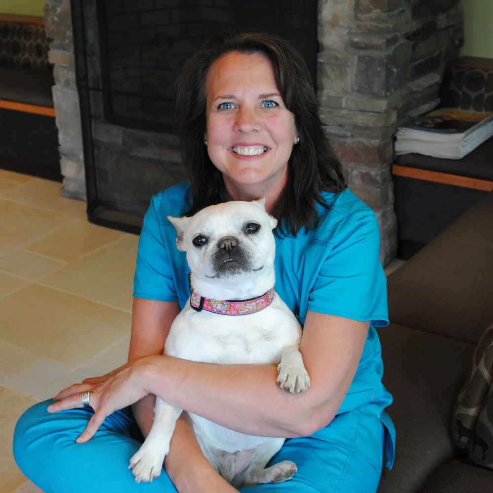 Doctors — Washtenaw Veterinary Hospital