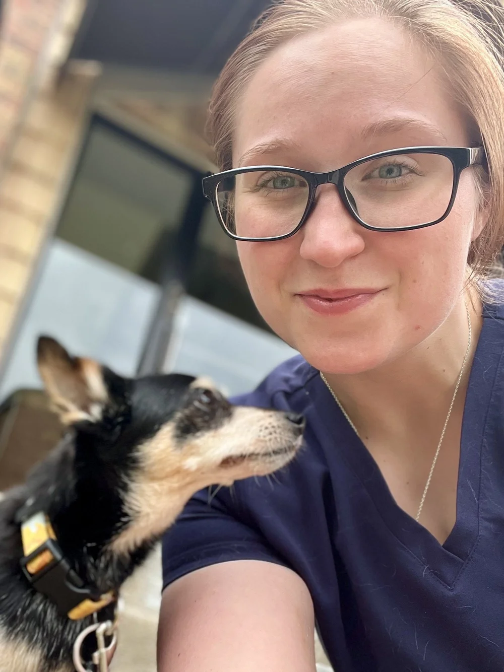 Care Staff — Washtenaw Veterinary Hospital