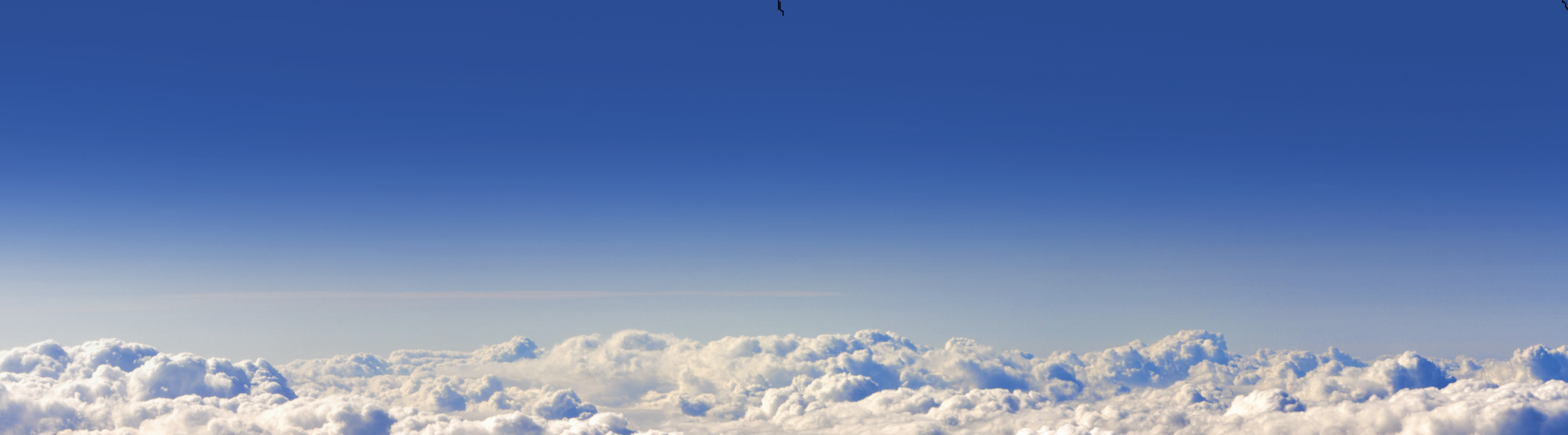 Brand Manager — Panacea Software