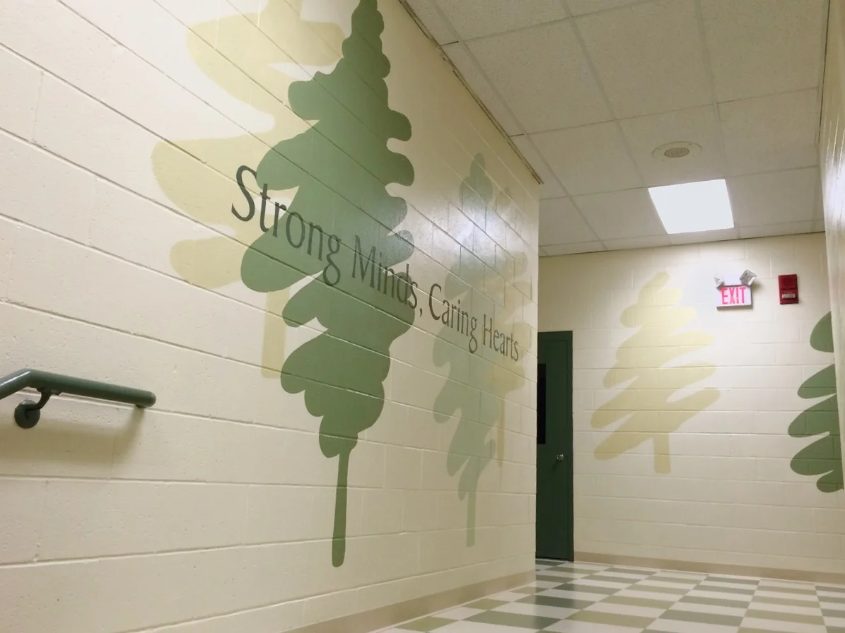 Pine Point School — Driscoll Design