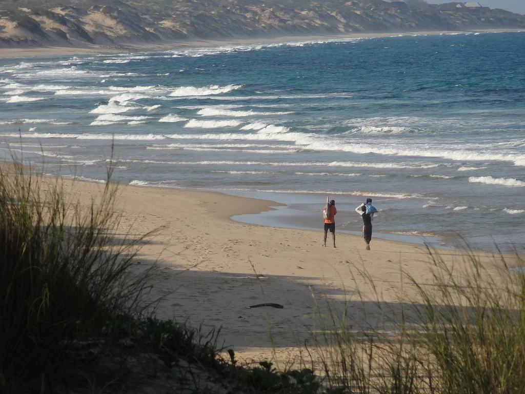 Africa — Matthew Crompton