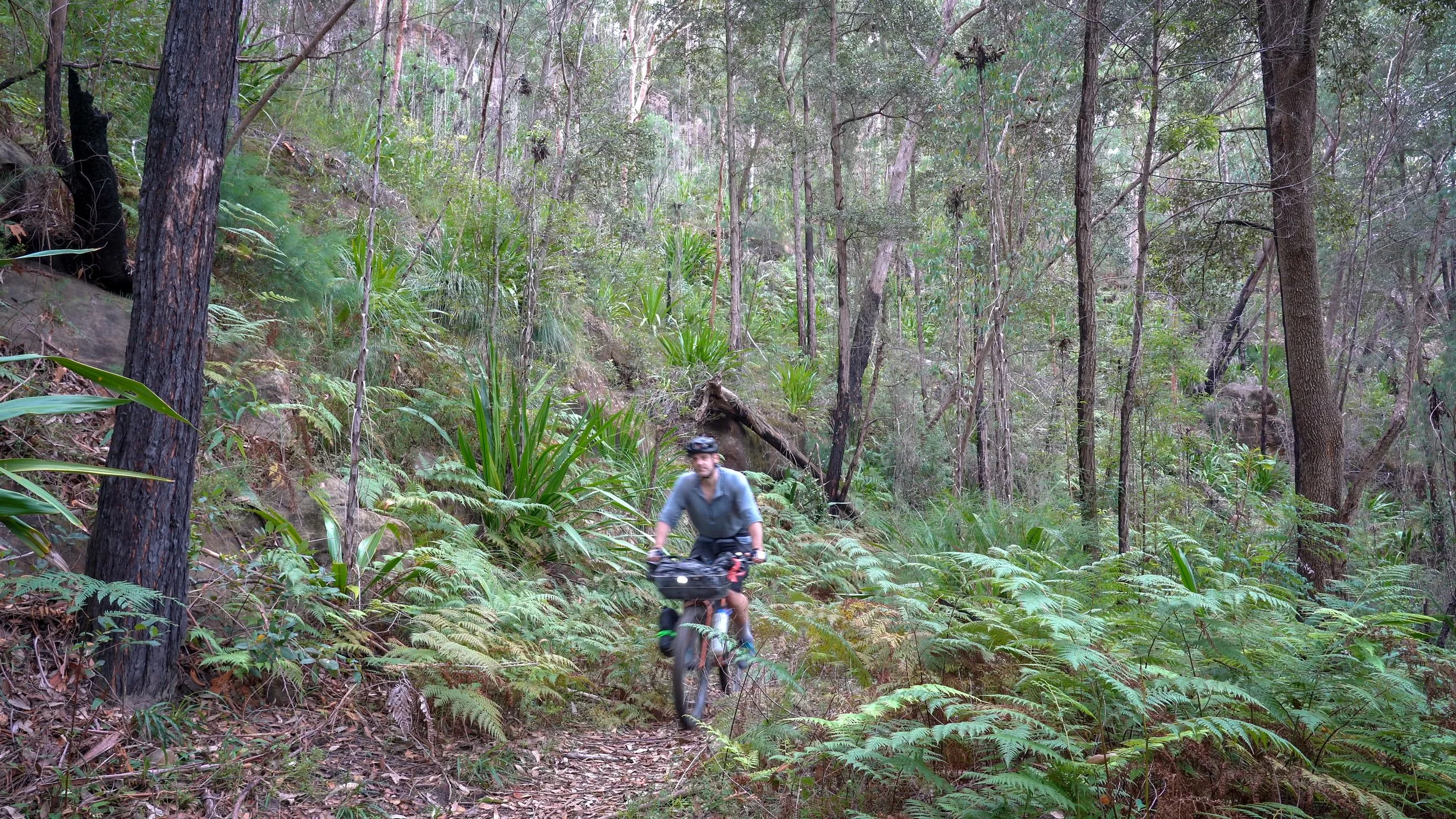 PUBLISHED on Bikepacking.com: Hawkesbury OGNR bikepacking route ...
