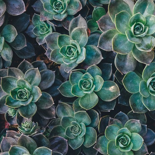 Sharp Landscape Design Studio