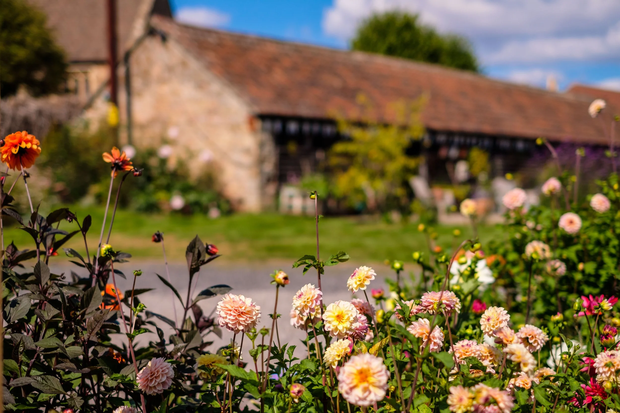 Artisan & Creative Retreats Somerset – Court House Farm