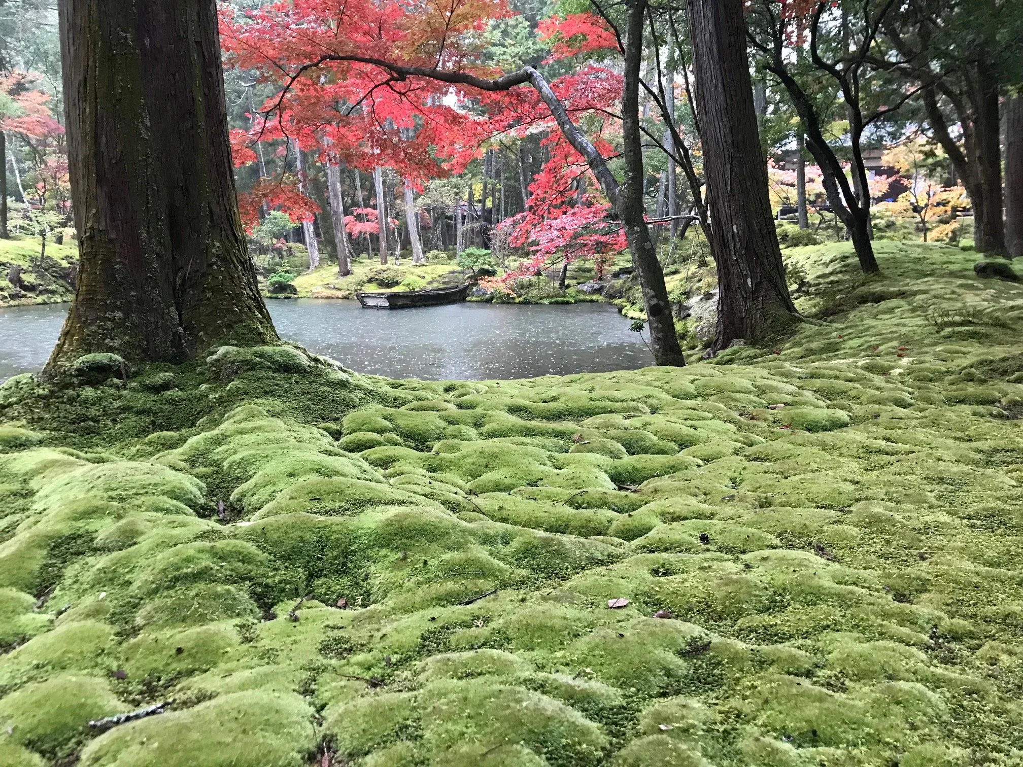 Koke-dera | Moss Temple — Emily Jo Gibbs