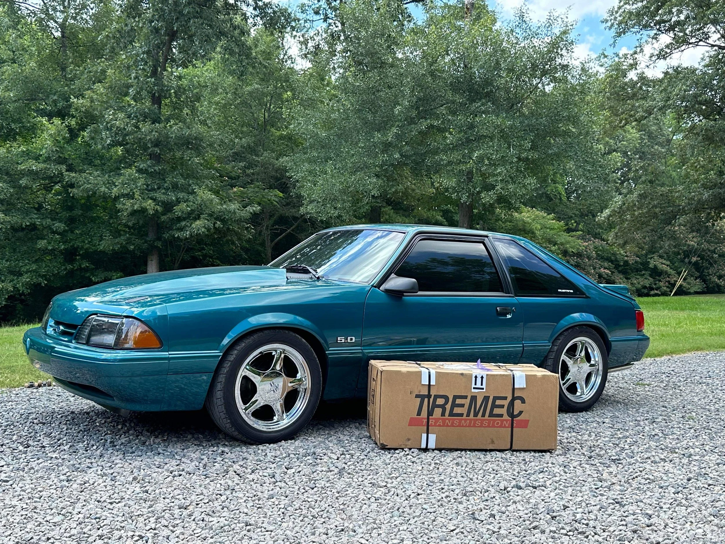 Home — Foxcast Media