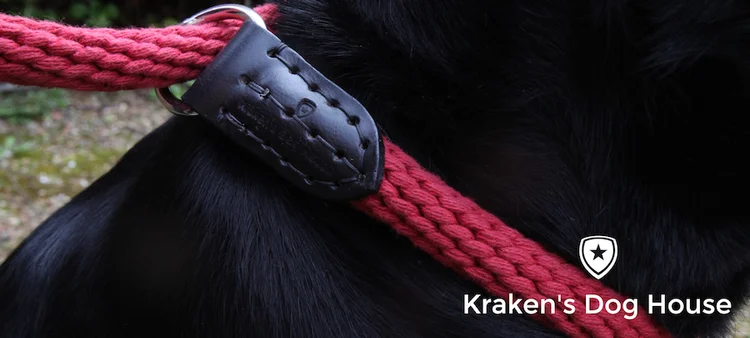 Gun Dog Slip leads, Dog Leads, Collars