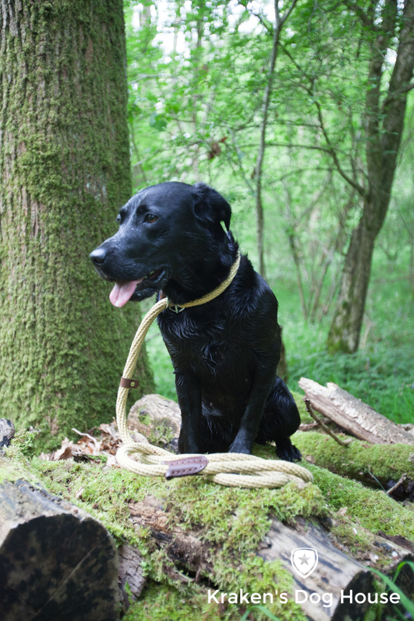 The Ravenswick Luxury Rope Slip Lead - 12 or 16mm soft rope slip lead ...