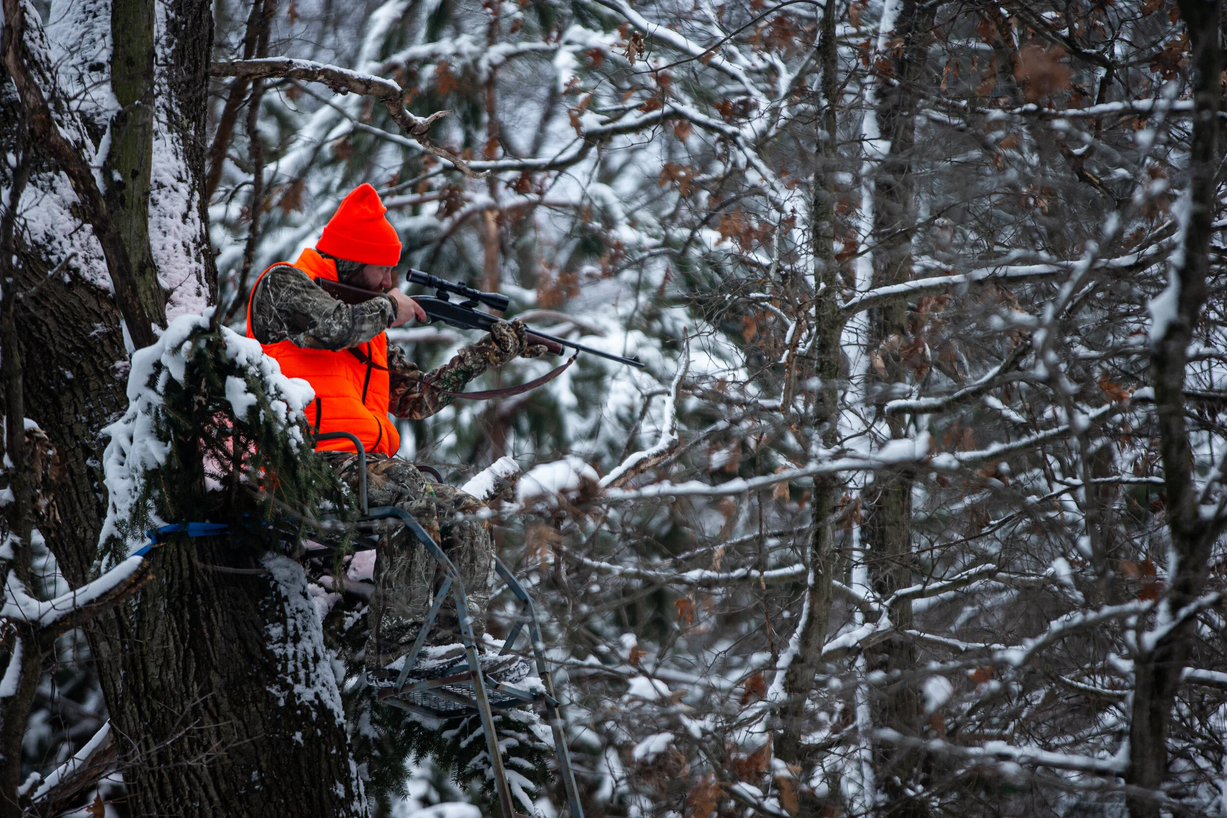 Winter Hunting