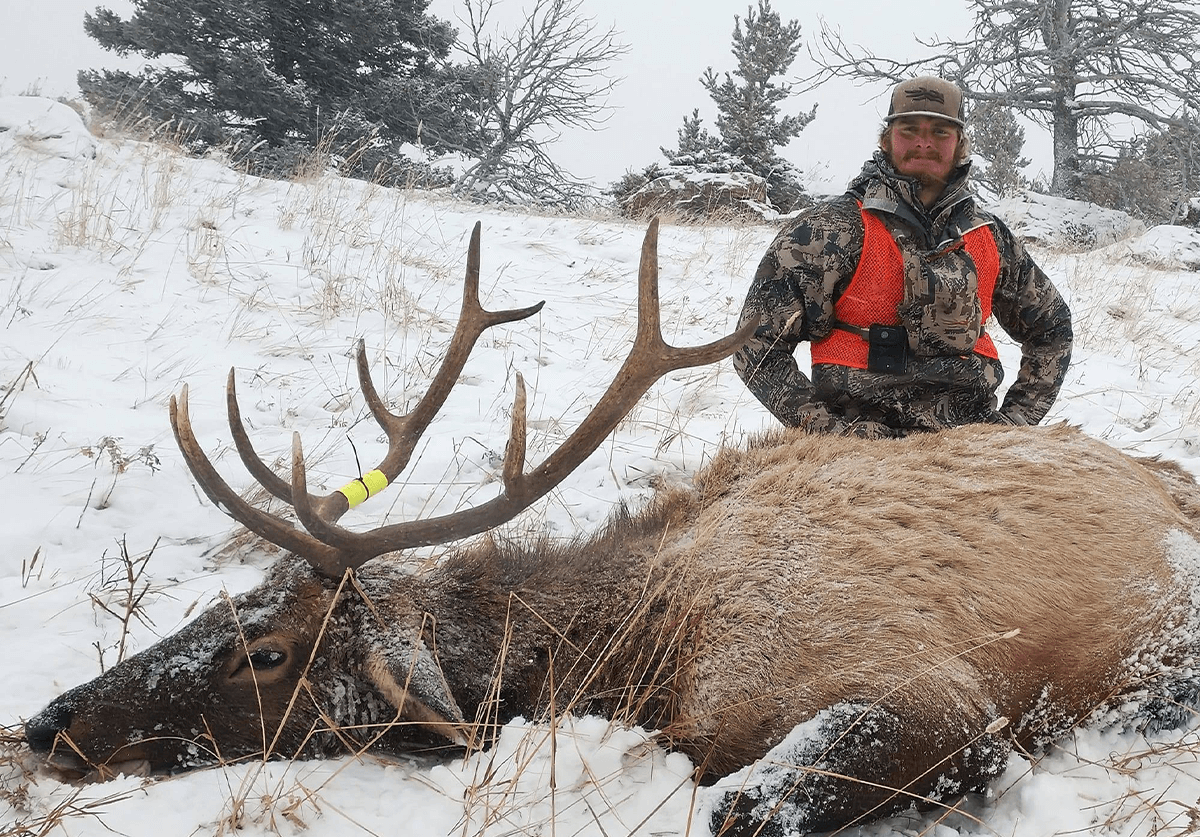 Montana Fwp Drawings Hunting