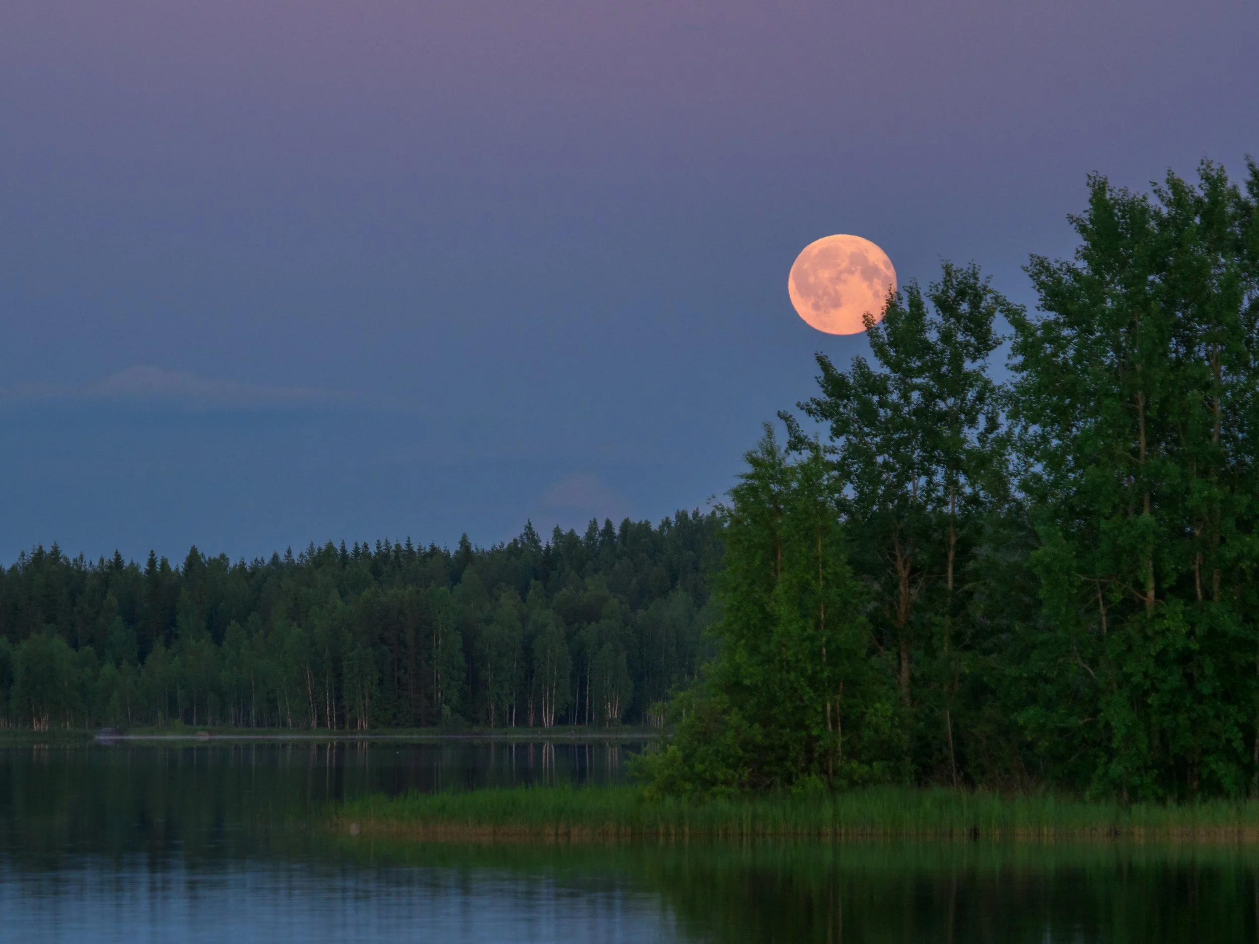 Drinking Magic with Moon Water — TINY RITUAL