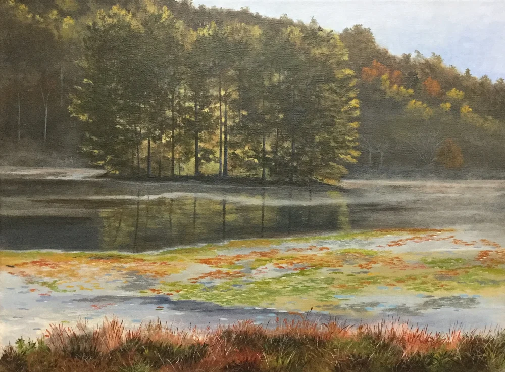 David Starbuck — Blowing Rock Frameworks & Gallery