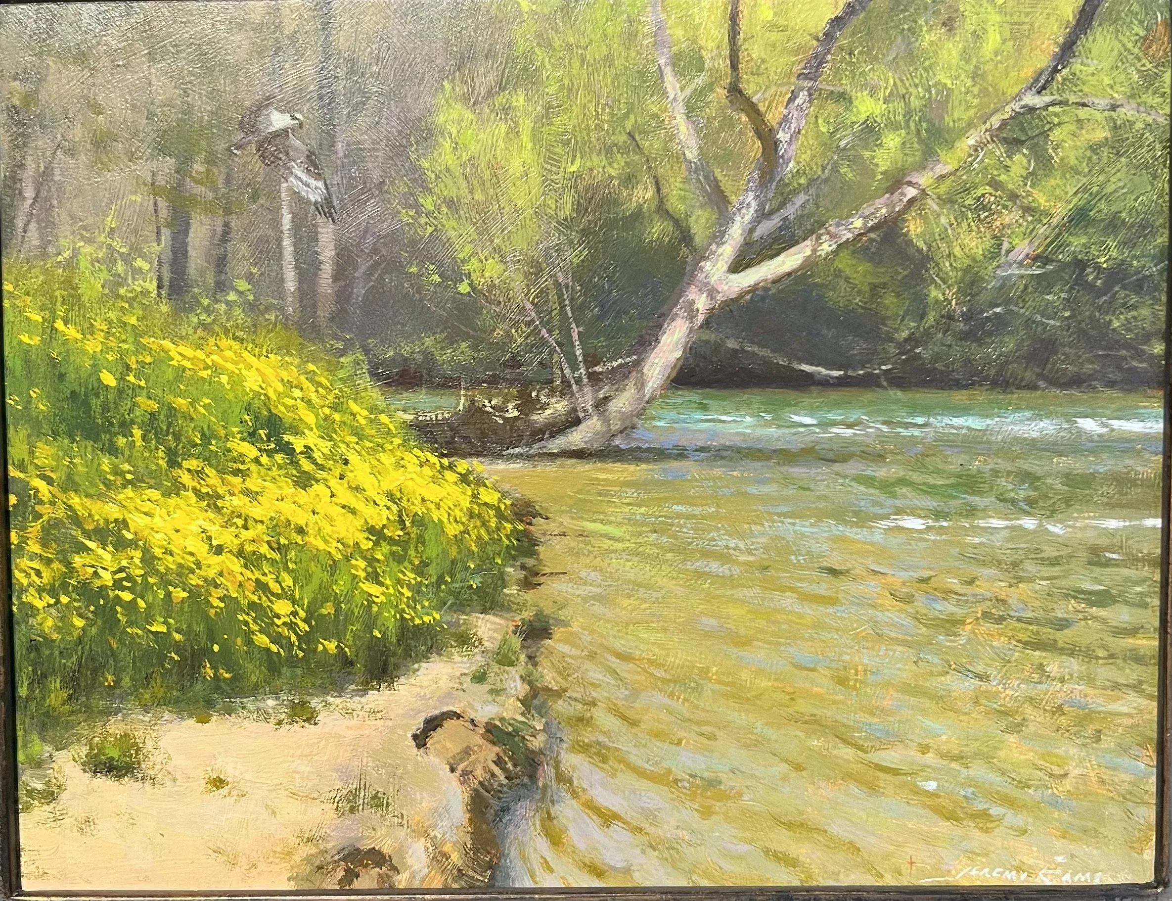 Bird's Eye View by Jeremy Sams — Blowing Rock Frameworks & Gallery