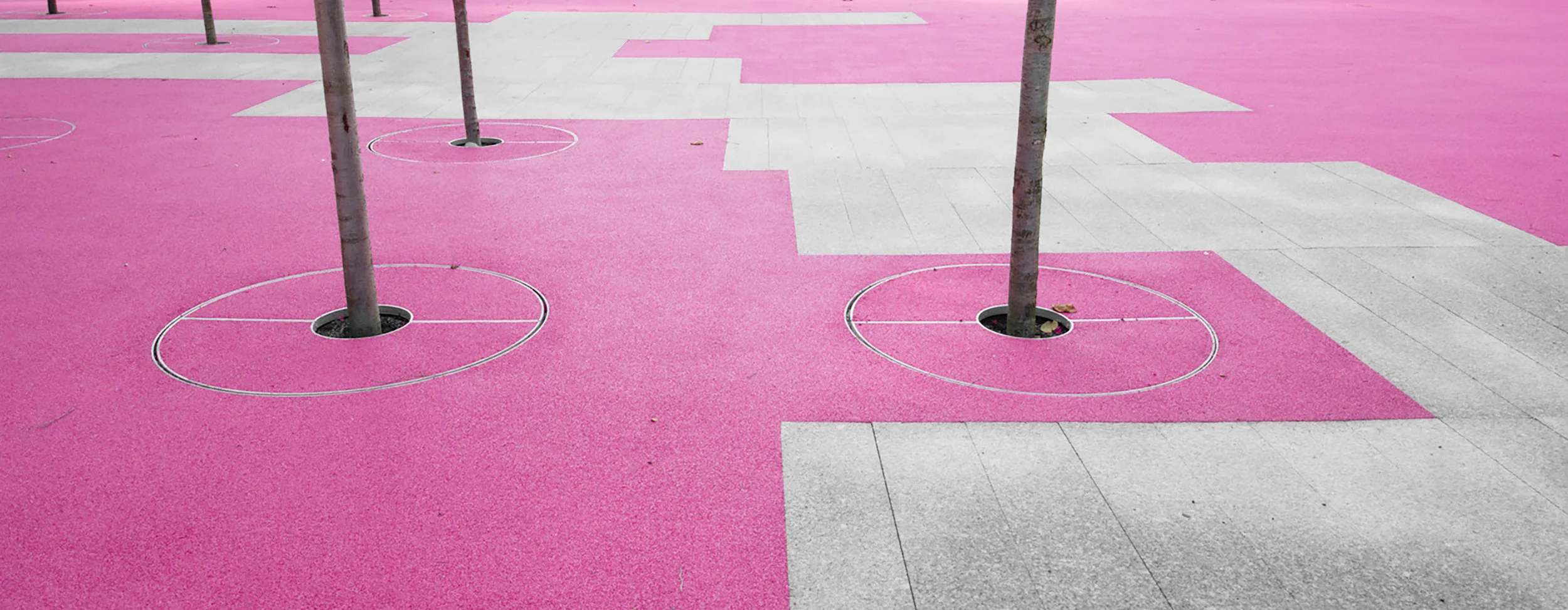 gh3* — June Callwood Park