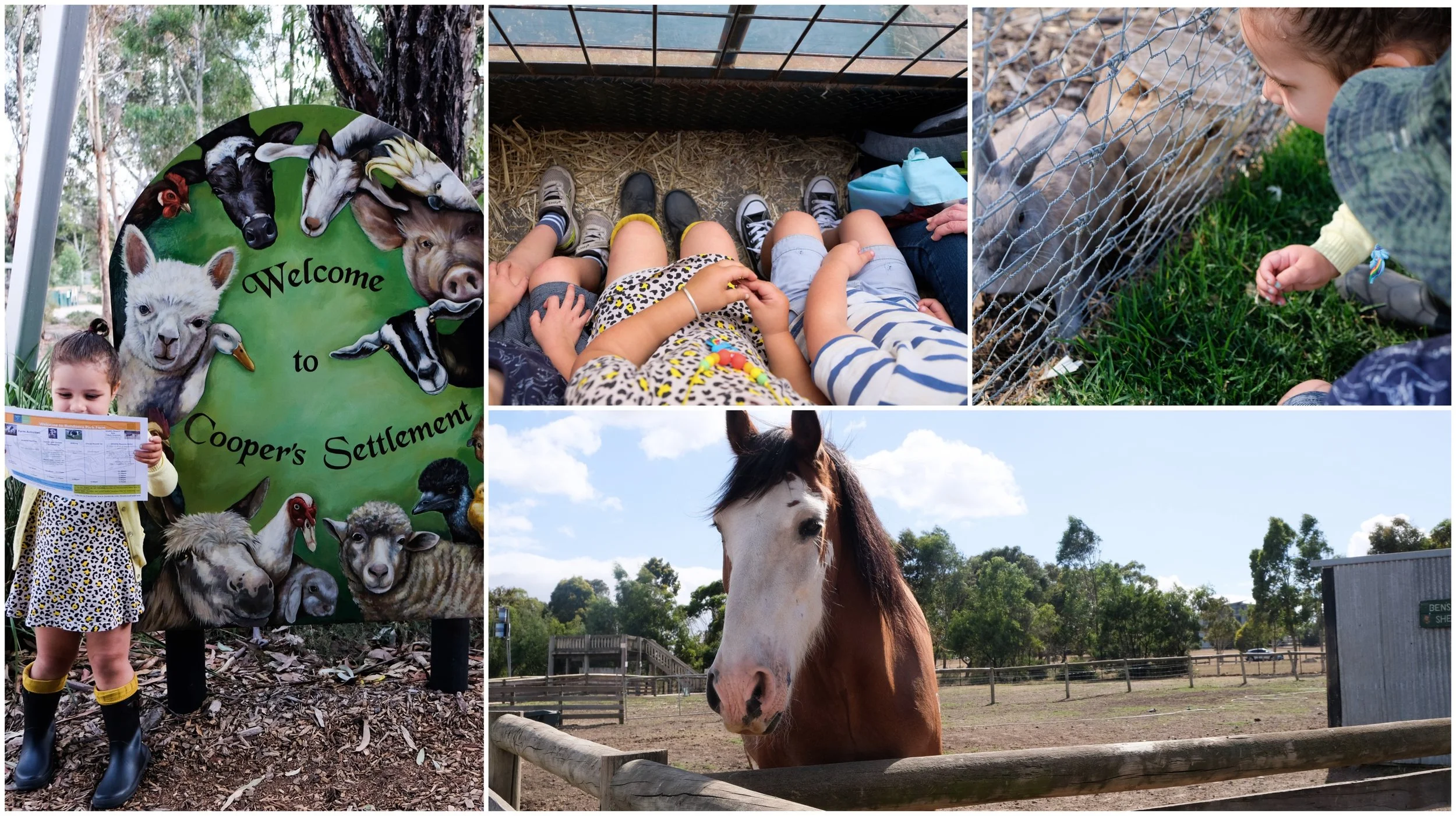 Family Experiences in Melbourne's North — mamma knows north