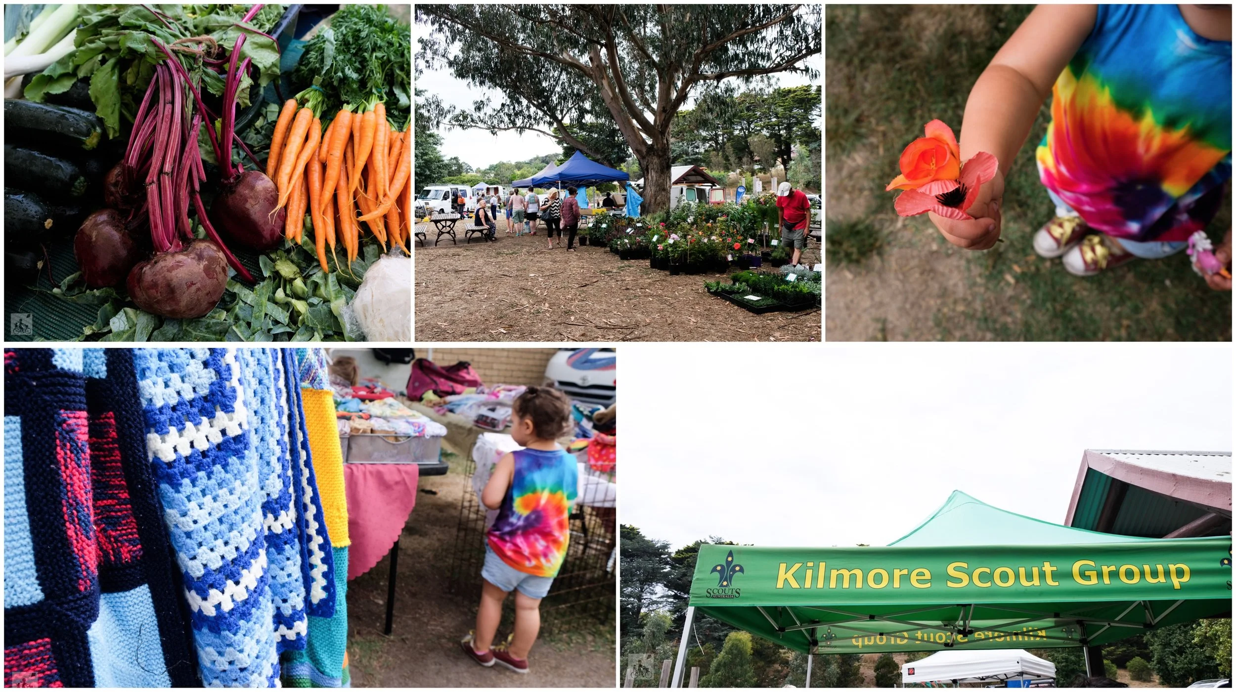 Best Markets in Melbourne's North — mamma knows north