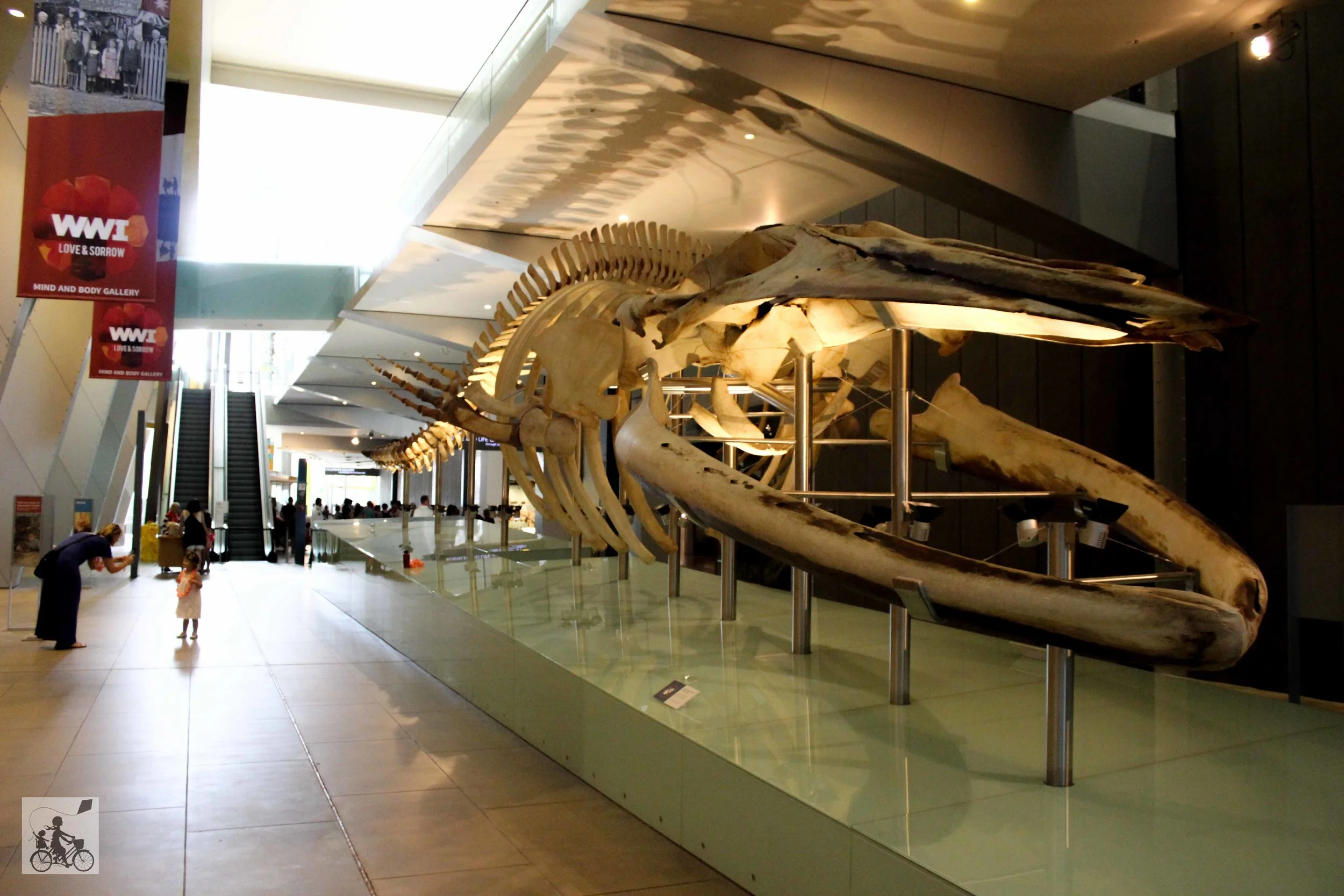 melbourne museum, carlton — mamma knows north