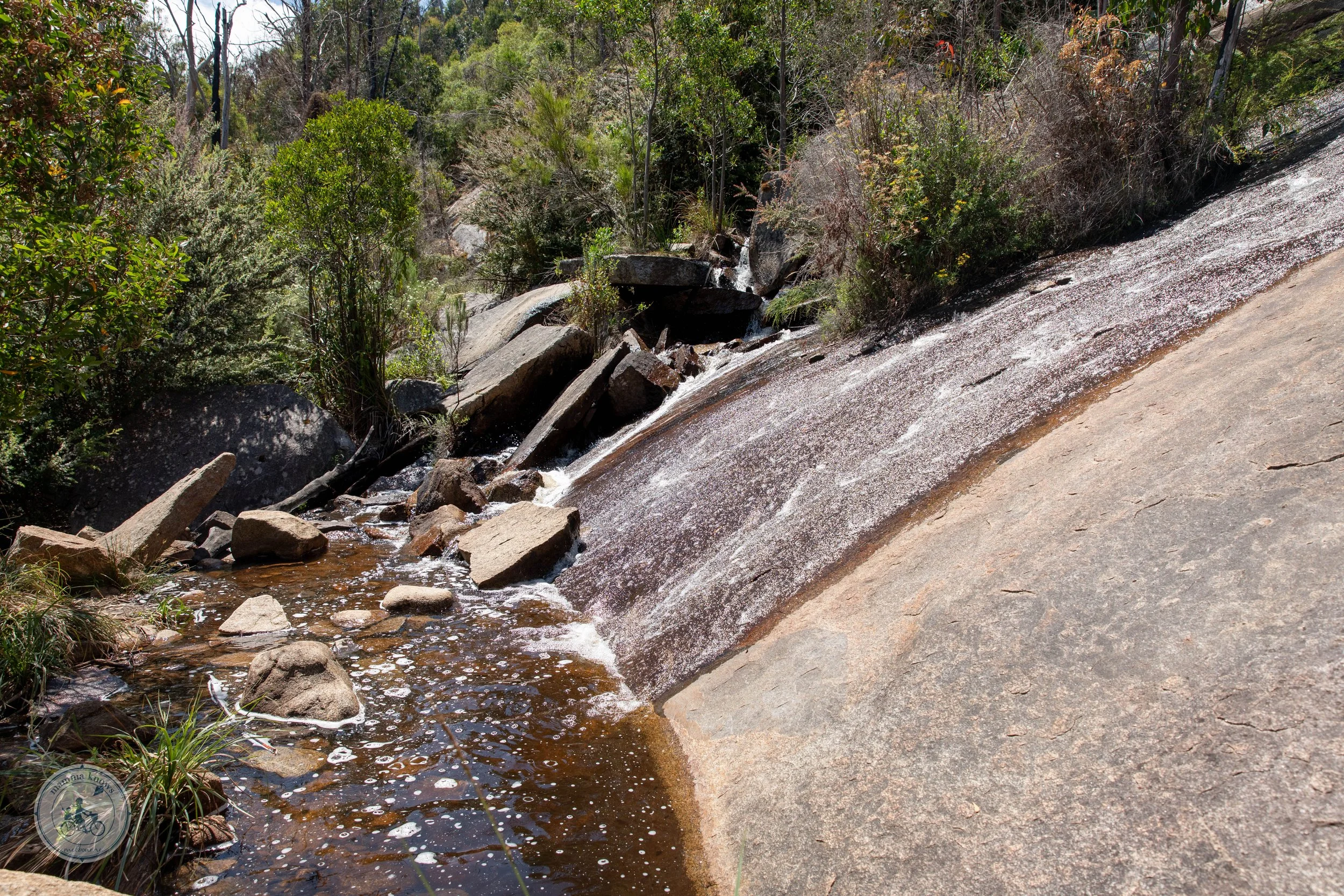 Murrindindi Scenic Reserve and Wilhelmina Falls, Murrundundi — mamma ...