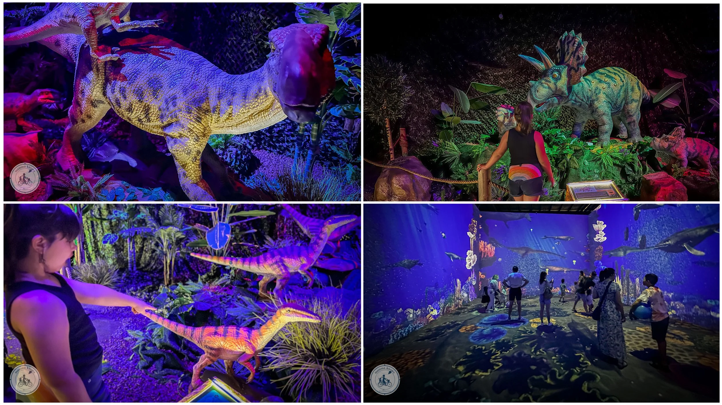 Family Experiences in Melbourne's North — mamma knows north