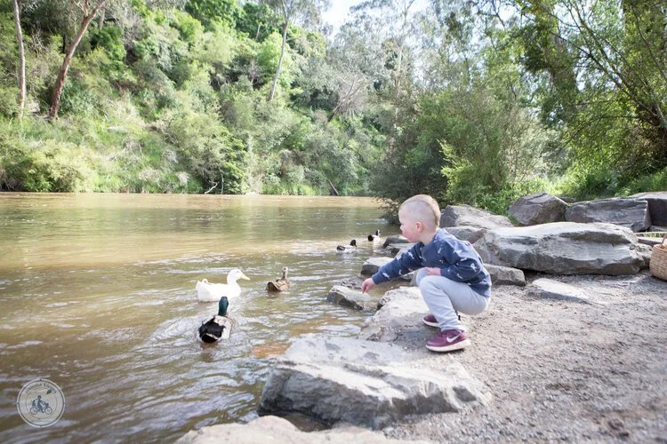 wonguim wilam playspace, warrandyte — mamma knows north