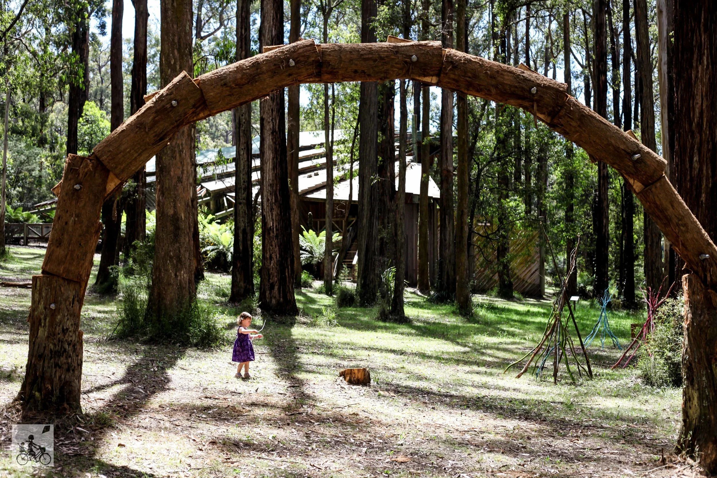 Wirrawilla Rainforest Walk, Toolangi — mamma knows north