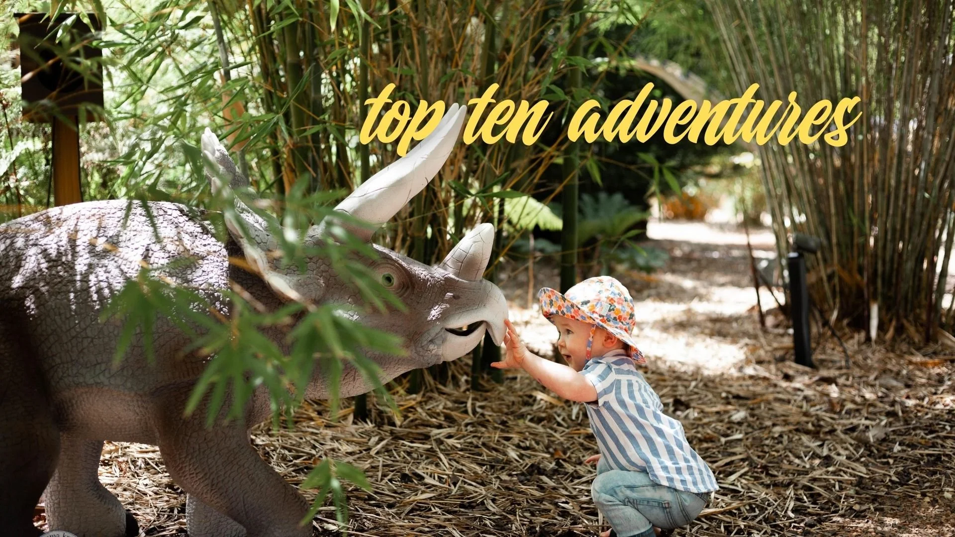mamma's top ten - most popular adventures of 2025 — mamma knows north