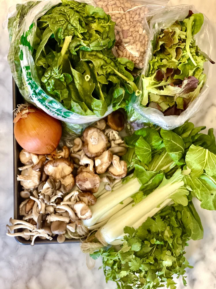 Boulder Nutrition — Boulder Nutrition