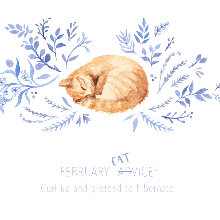 Illustration Series: Advice from my Cat to You! — Evelyne Park | Art