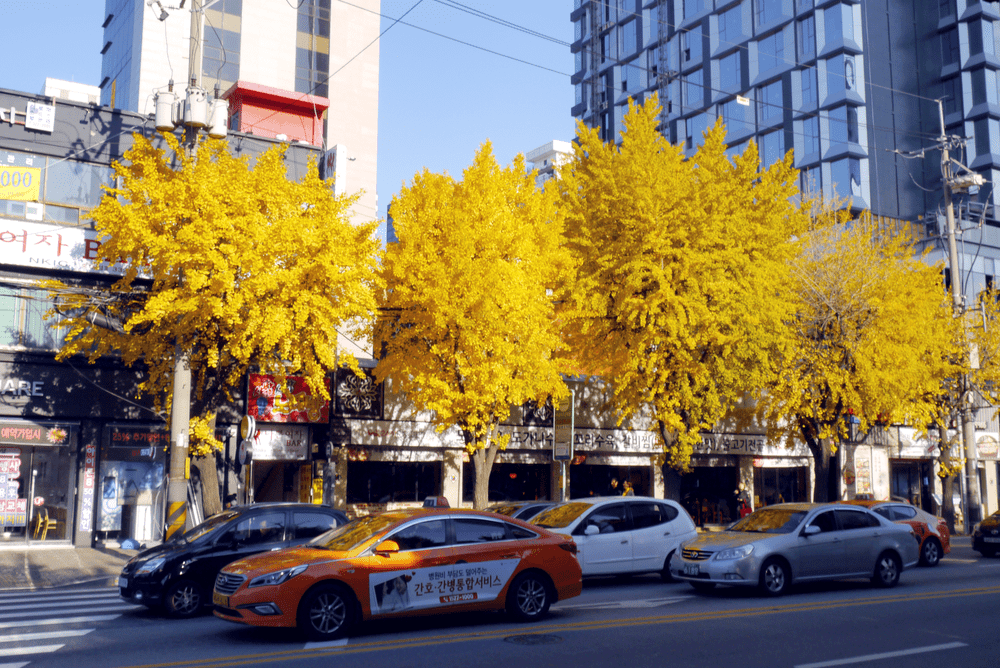 Things to do in Hongdae: Seoul Travel Journal — Evelyne Park | Art