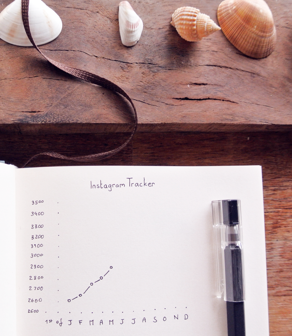 What to Track in Your Journal - Meal Planning Drawings — evydraws