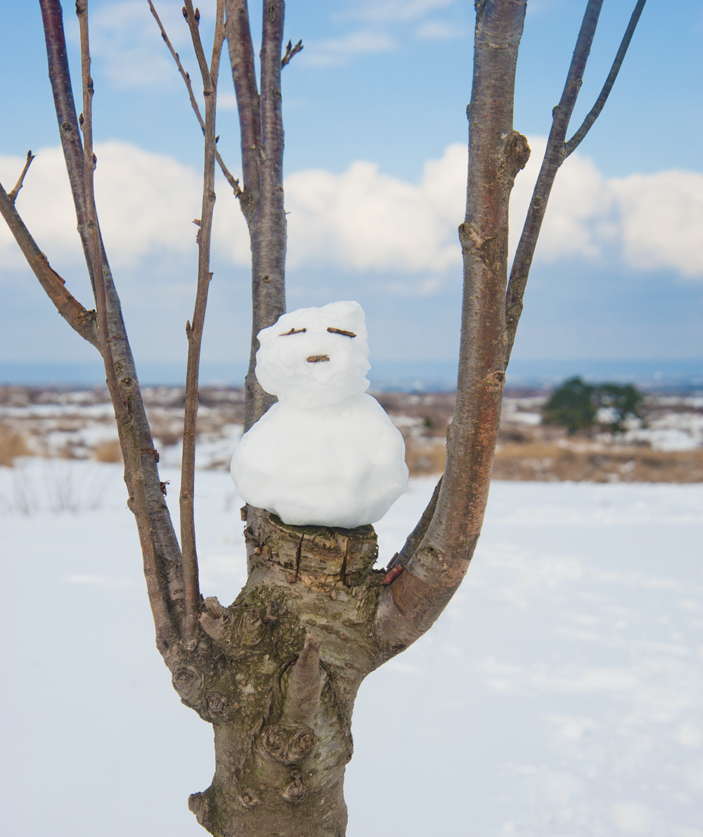 Travel Diary: A Guide to Jeju Island in Winter — Evelyne Park | Art