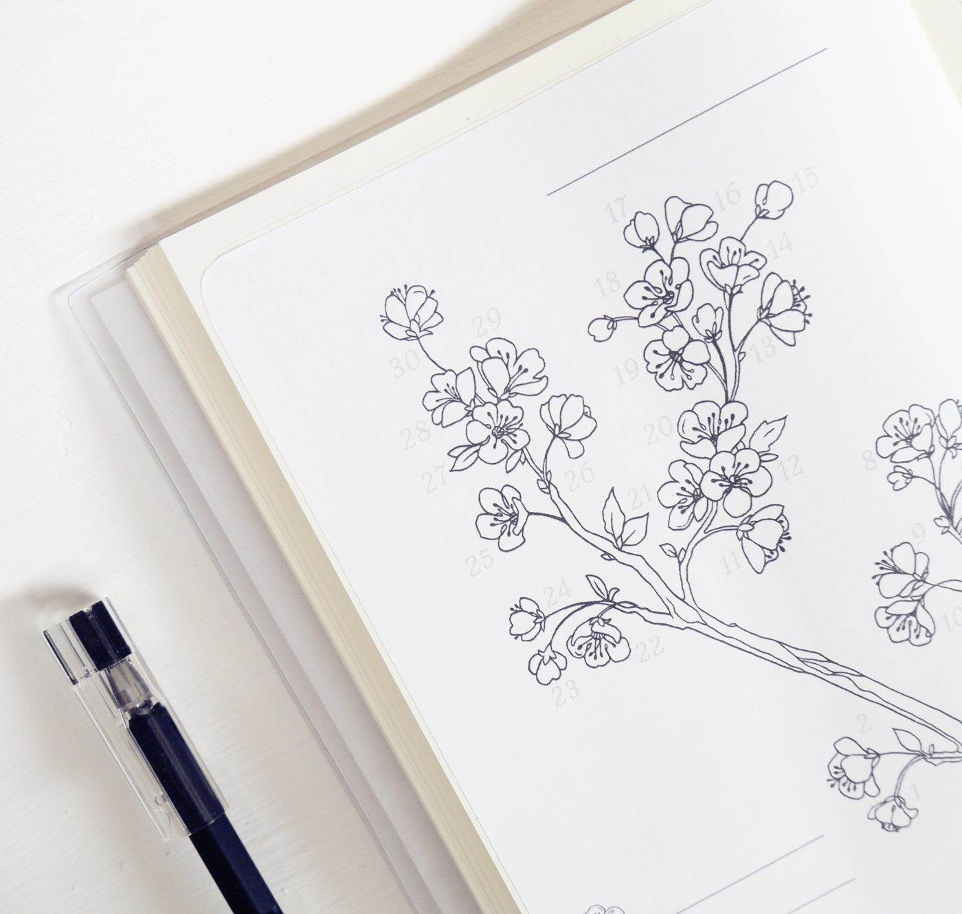 Spring Bullet Journal Layout : Cherry Blossoms — evydraws