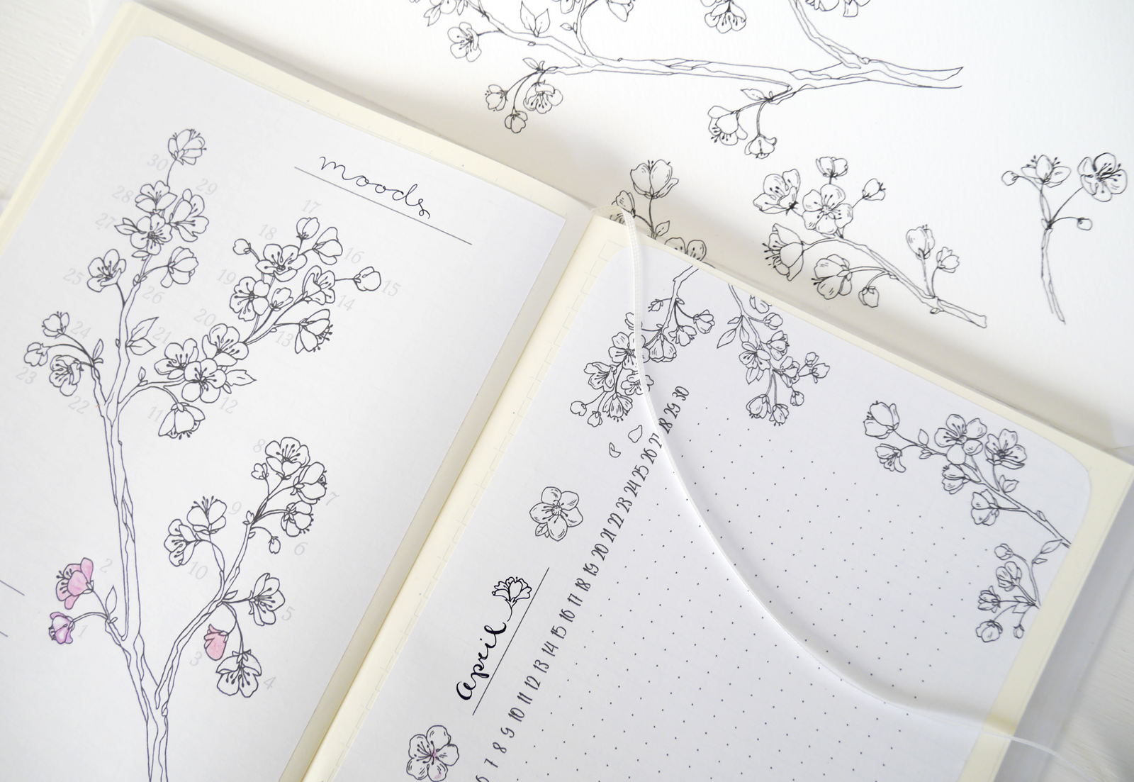 Spring Bullet Journal Layout : Cherry Blossoms — evydraws