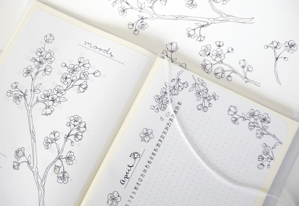 Spring Bullet Journal Layout : Cherry Blossoms — Evelyne Park | Art