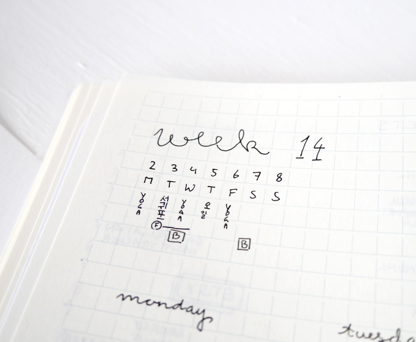 Spring Bullet Journal Layout : Cherry Blossoms — evydraws