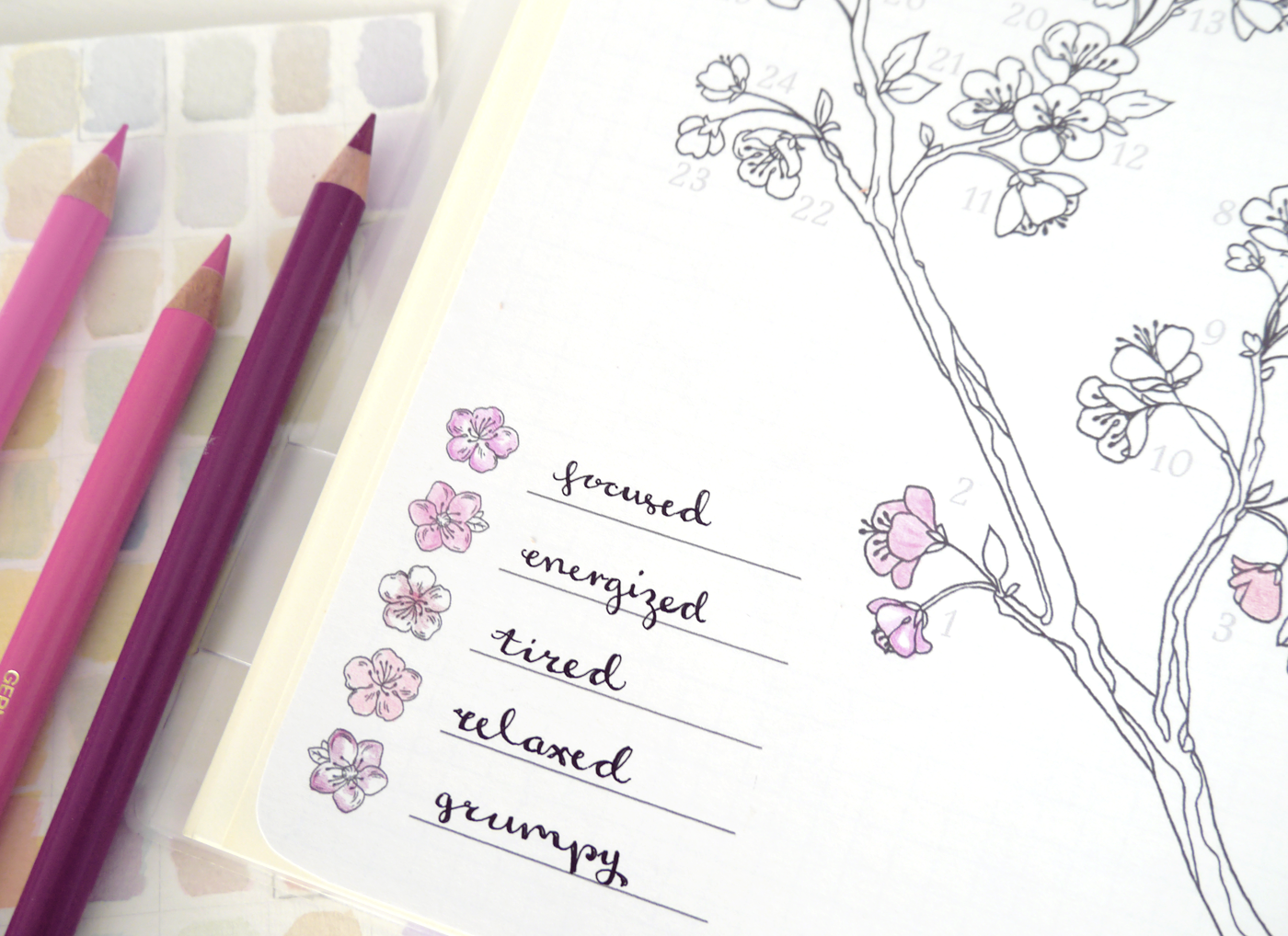 Spring Bullet Journal Layout : Cherry Blossoms — Evelyne Park | Art