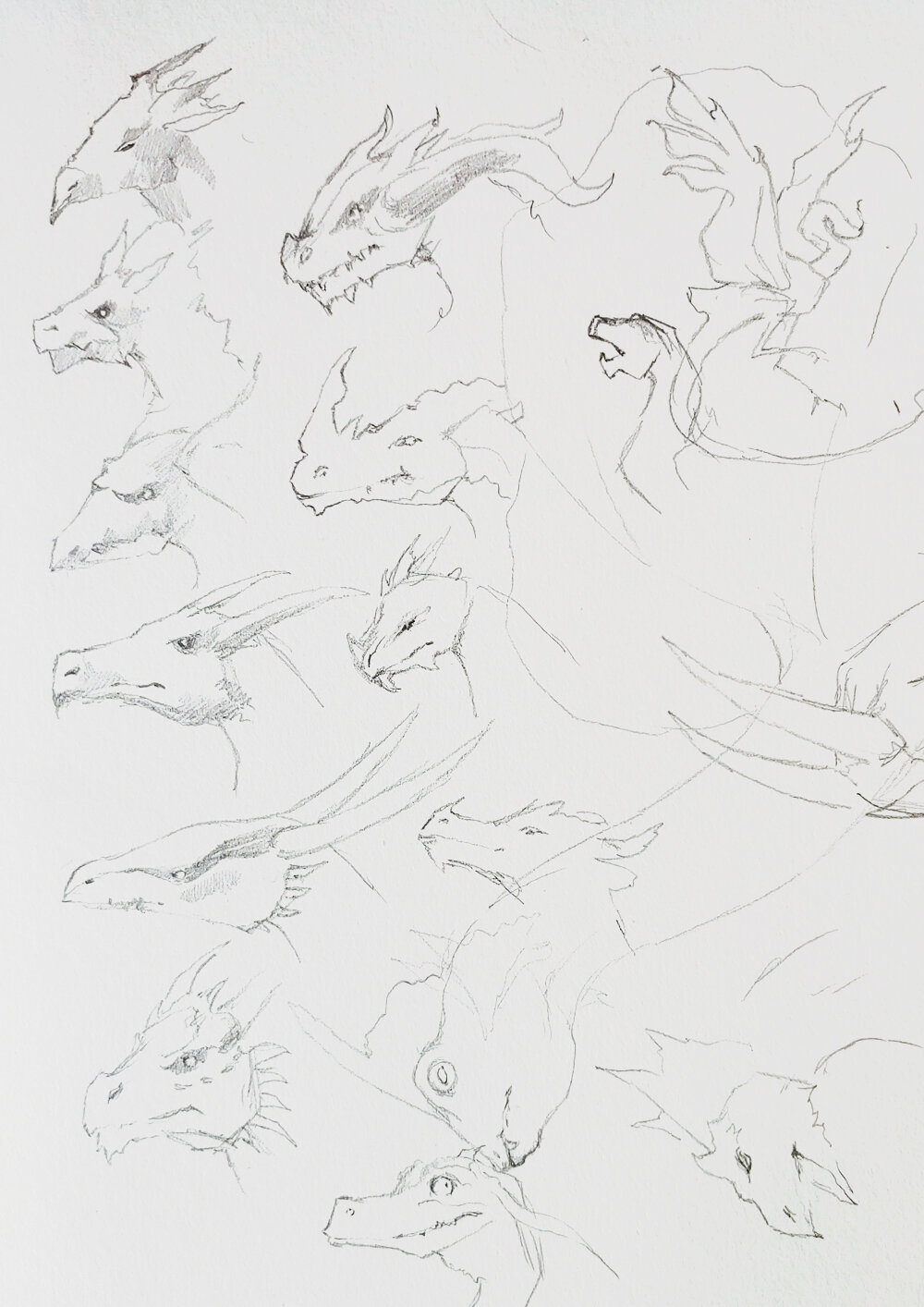 Clownfish Dragon Creature Design - A Process — evydraws