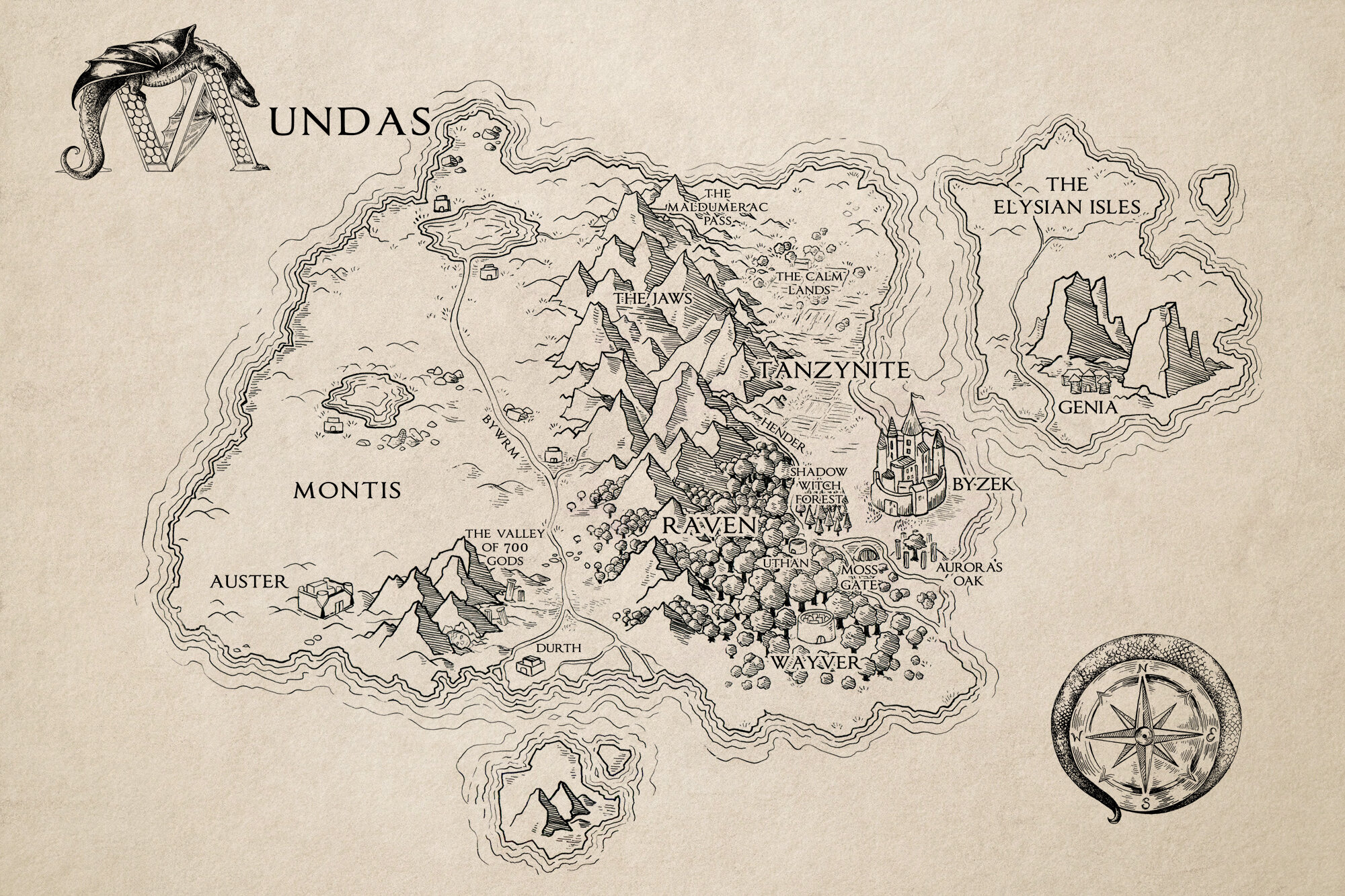 Portfolio Evelyne Park — evydraws