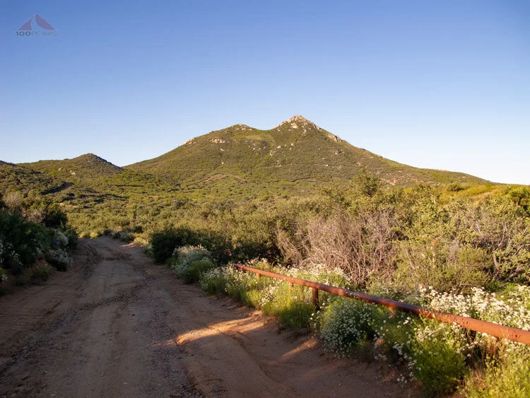 Long Valley Peak - Peak 65 - Hiking with the PD in a Fire Ant Swarm ...
